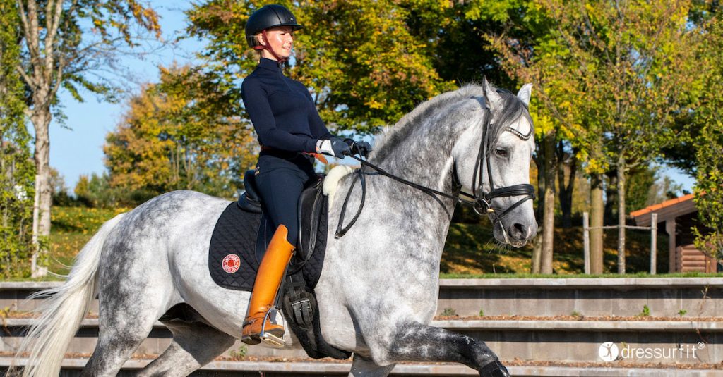 Aubenhausen Club - Become the rider, your horse expects you to be