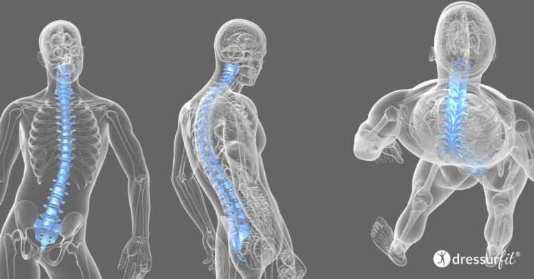 The Neutral Spine Position: Why it is so Important for Riding ...