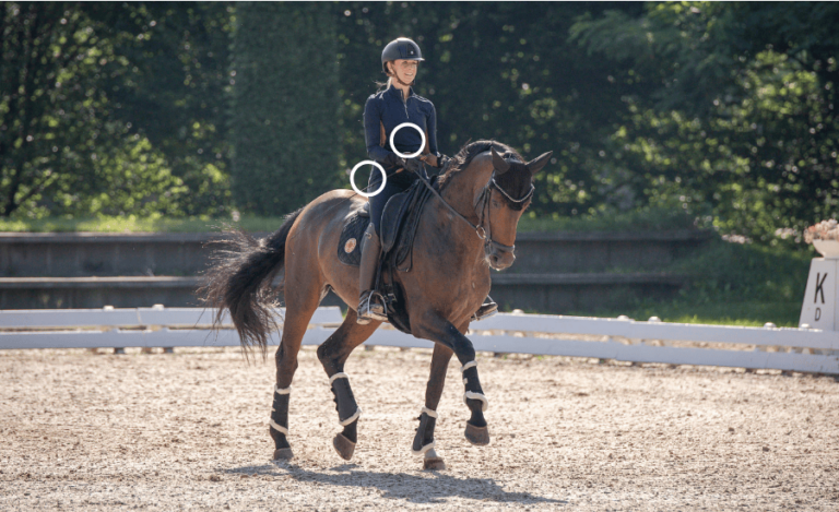 Aubenhausen Club - Become the rider, your horse expects you to be