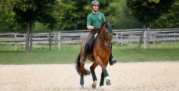 Aubenhausen Club - Werde der Reiter, den sich dein Pferd wünscht