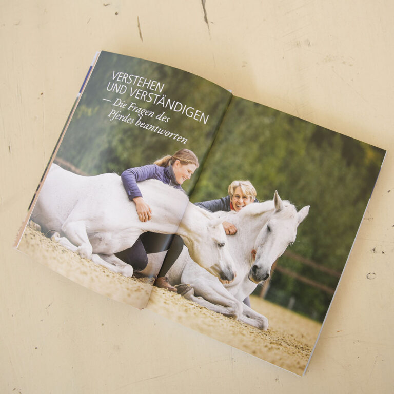 Shop - Aubenhausen Club - Mehr für Reiter im Aubenhausen Club Shop